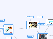 maquinas y mecanismos - Concept Map